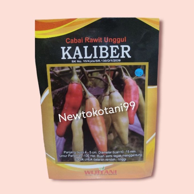 Jual Benih cabe KALIBER 10 gram benih cabai unggul kaliber dari wiji ...
