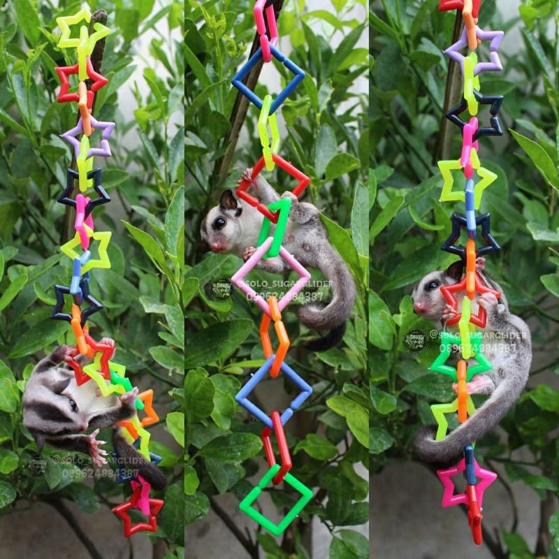 Jual Mainan Rantai Sugar glider | Shopee Indonesia