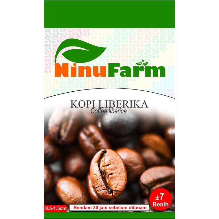 Jual Benih Kopi Liberika 7Seeds | Shopee Indonesia