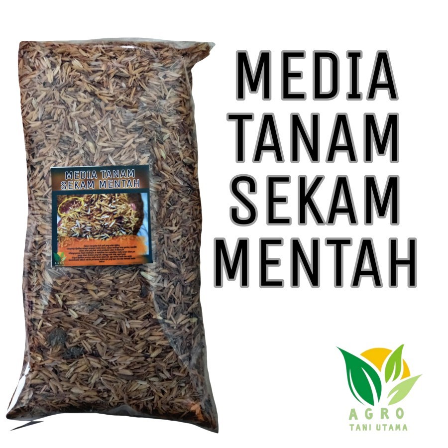 Jual MEDIA TANAM SEKAM MENTAH PADI | Shopee Indonesia