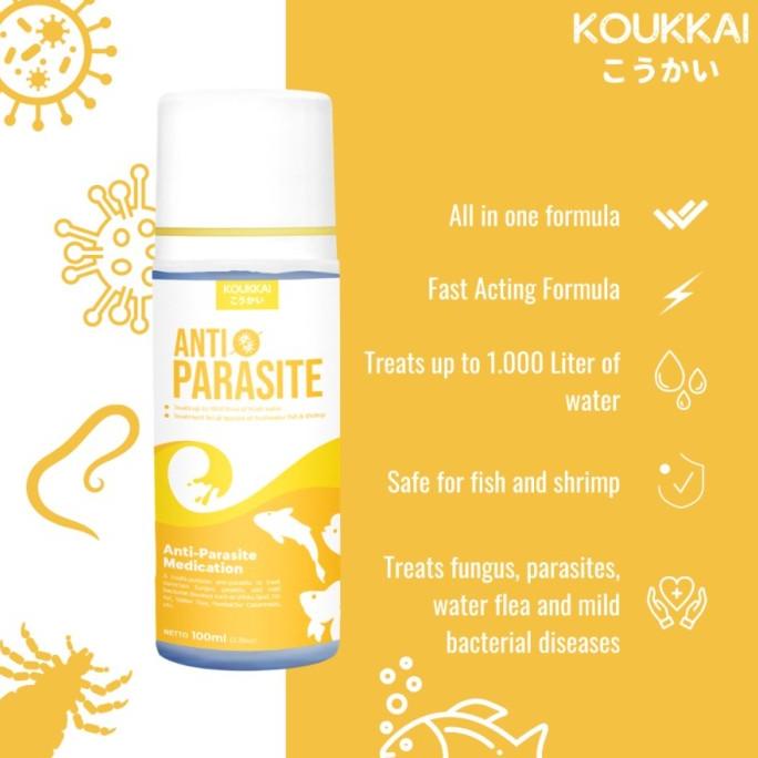 Jual Obat Anti Jamur Parasit Kutu Koukkai Ikan Anti Bakteri Kutu ...