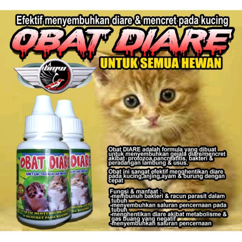 Jual OBAT DIARE DAN MENCRET PADA KUCING | Shopee Indonesia