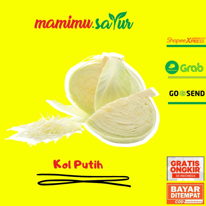 Jual KOL KUBIS PUTIH SEGAR KOL SEGAR KUBIS SEGAR SAYUR SAYURAN SEGAR ...