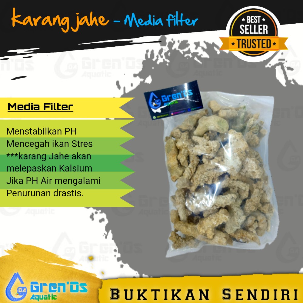 Jual Karang Jahe Media Filter Penurun PH Air Aquarium Aquascape ...