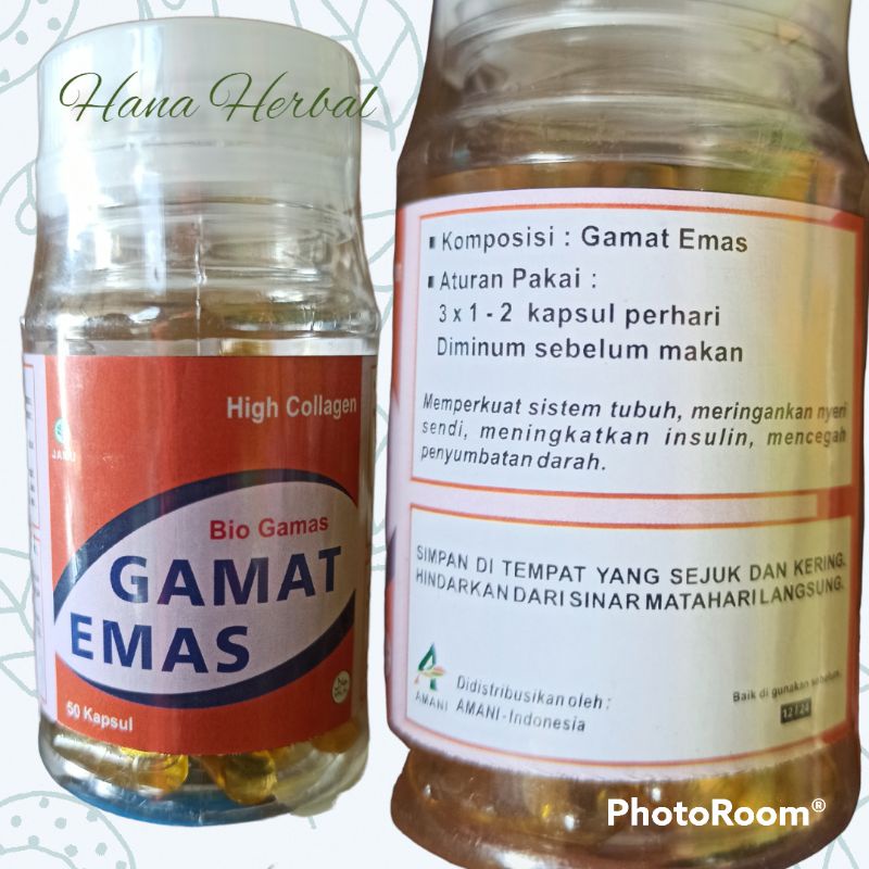 Jual COD ORI 100% GAMAT EMAS BIO GAMAS High Collagen pereda nyeri sendi ...