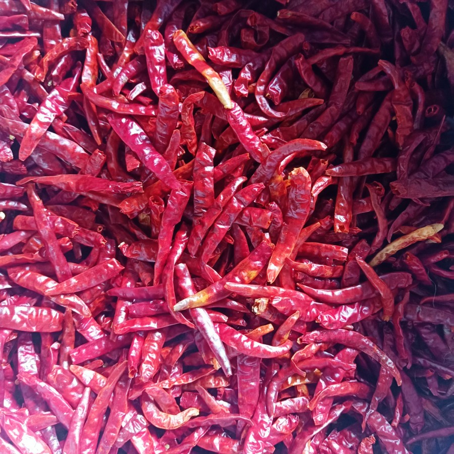 Jual Cabe rawit kering / Teja (Import) 250gram. | Shopee Indonesia