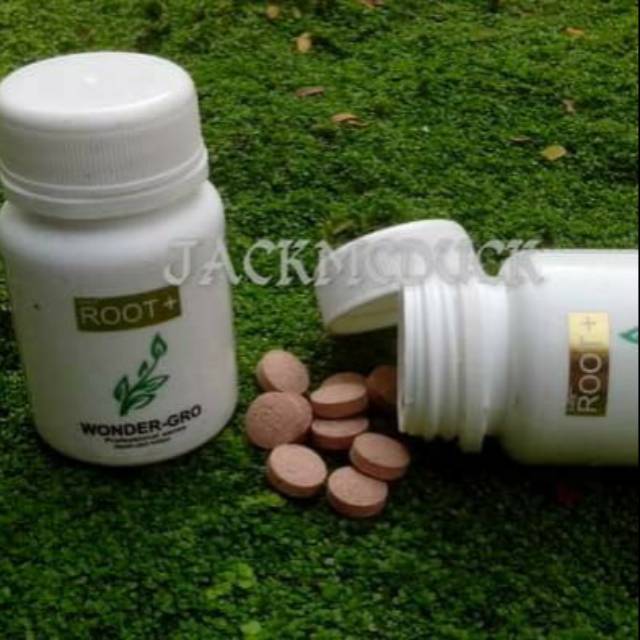 Jual Pupuk tancap wonder root plus untuk aquascape | Shopee Indonesia