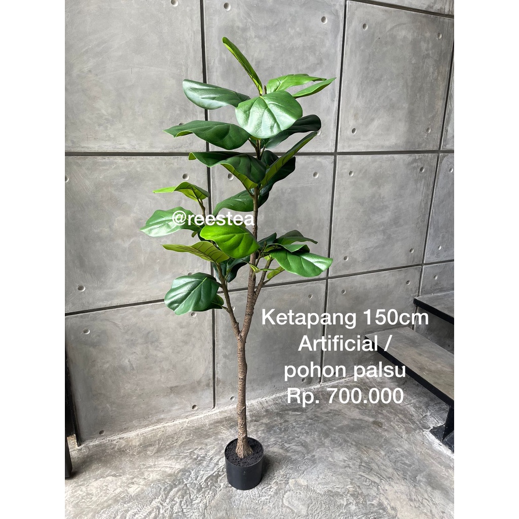 Jual Pohon Ketapang Artificial Tinggi 150cm / Artificial plant/ Pohon ...
