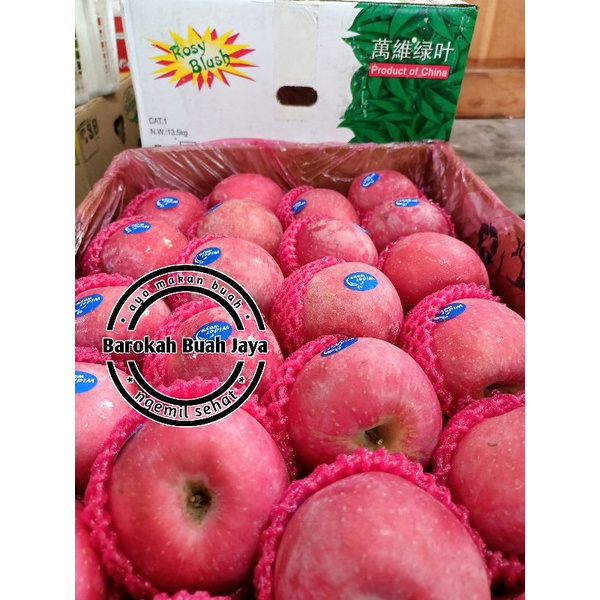 Jual APEL FUJI PREMIUM WIDERWAYS 500GRAM | Shopee Indonesia