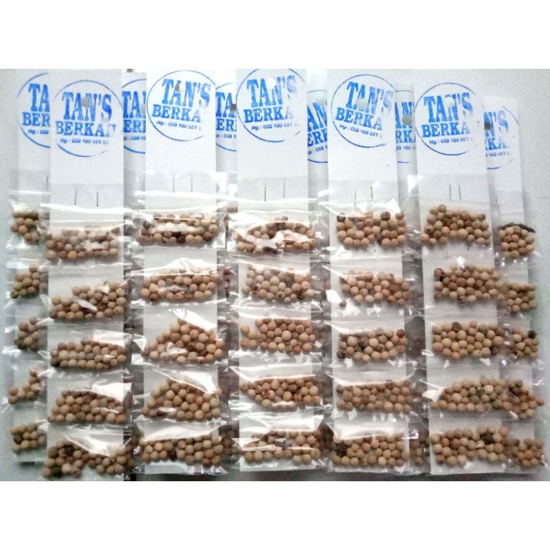 Jual MERICA MURAH!!! Merica (lada putih) rentengan / rencengan ...