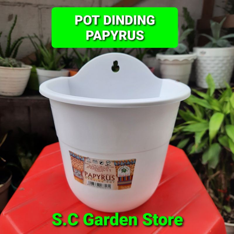 Jual POT DINDING/TEMPEL PAPYRUS GREEN LEAF WARNA PUTIH 17 CM | POT ...