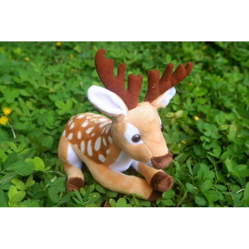 Jual boneka rusa | Shopee Indonesia