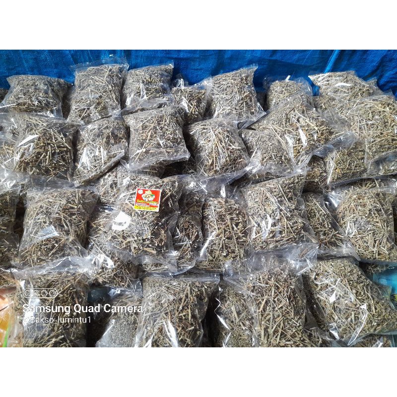 Jual Daun pencuci perut / katemas 100 gram daun kering | Shopee Indonesia