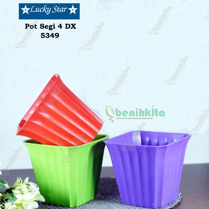 Jual Pot Tanaman-Bunga Segi Violeta 5349-DX (Lucky Star) | Shopee Indonesia