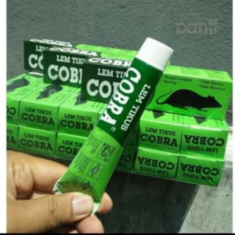 Jual Lem tikus cobra/ukuran kecil tidak berbau | Shopee Indonesia