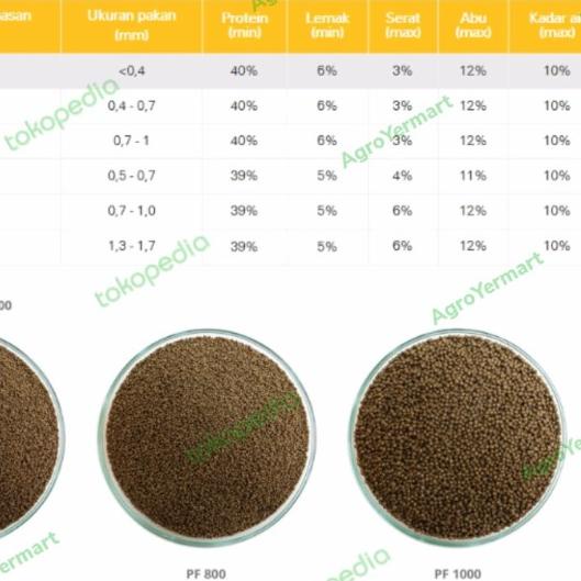 Jual Pelet PF800 repack 1 kg, pakan benih lele. | Shopee Indonesia