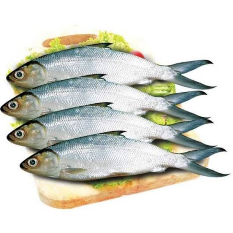 Jual Ikan Bandeng Segar 1kg | Shopee Indonesia
