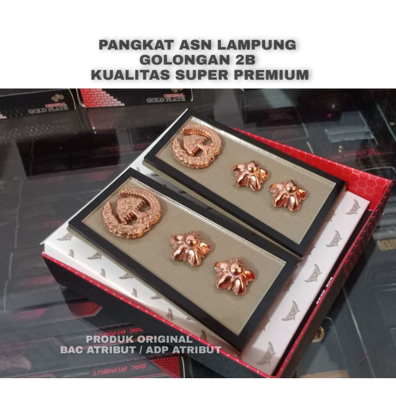 Jual Pangkat ASN LAMPUNG Golongan 2a - 2b - 2c - 2d Premium | Shopee ...