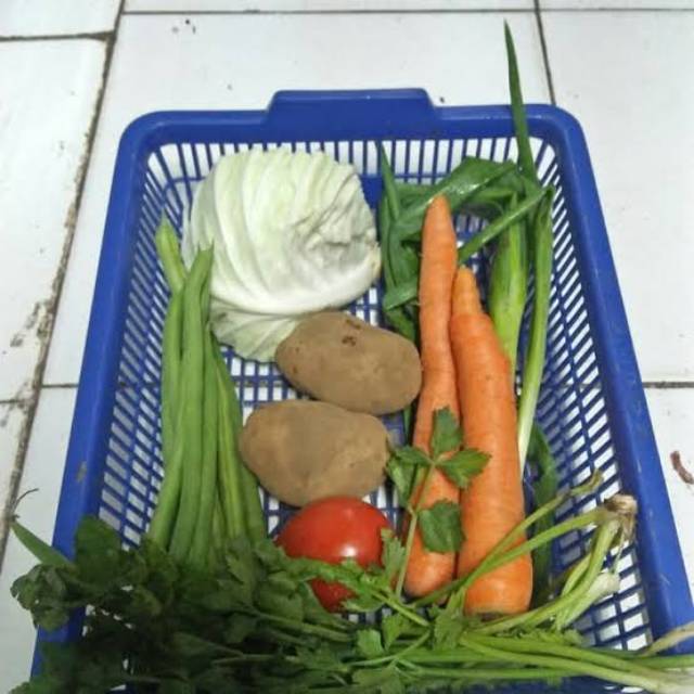 Jual BAHAN SAYUR SOP | Shopee Indonesia