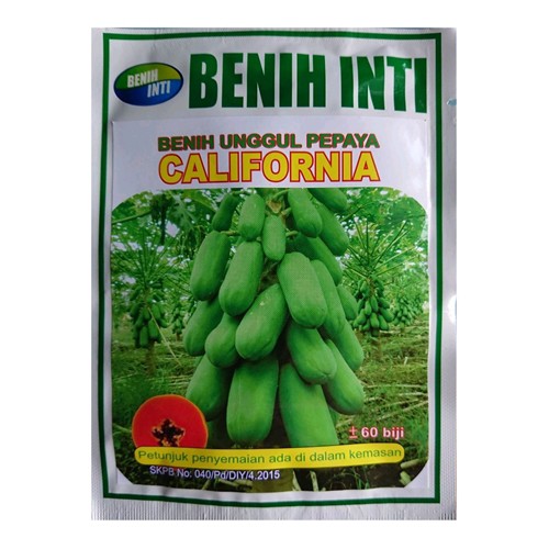 Jual Benih Pepaya California Benih Inti – 60 Biji | Shopee Indonesia