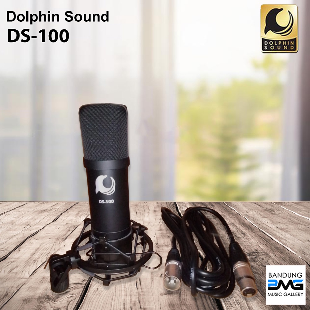 Jual Dolphin Sound DS100 Microphone Condenser / DS 100 | Shopee Indonesia