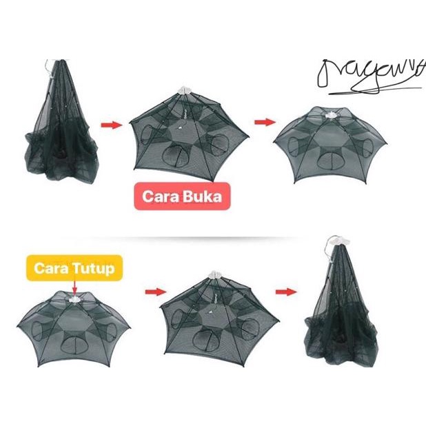 Jual Jala Jaring Bubu Ikan Payung Perangkap 8 16 Lubang | Shopee Indonesia