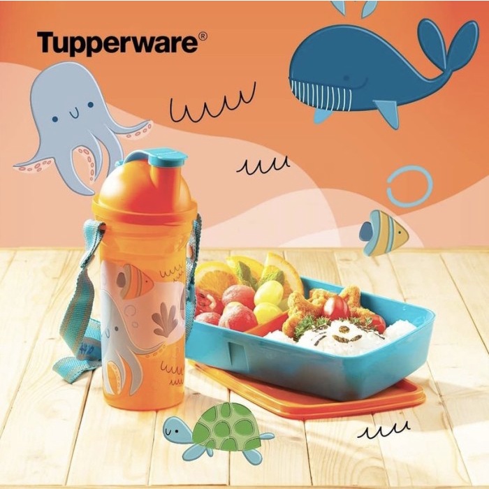 Jual Tempat Makan & Minum Anak Tupperware Kids Lunch Set | Shopee Indonesia