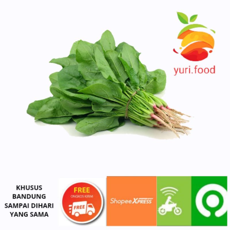Jual Bayam 1 ikat (Cimahi satu hari sampai) | Shopee Indonesia