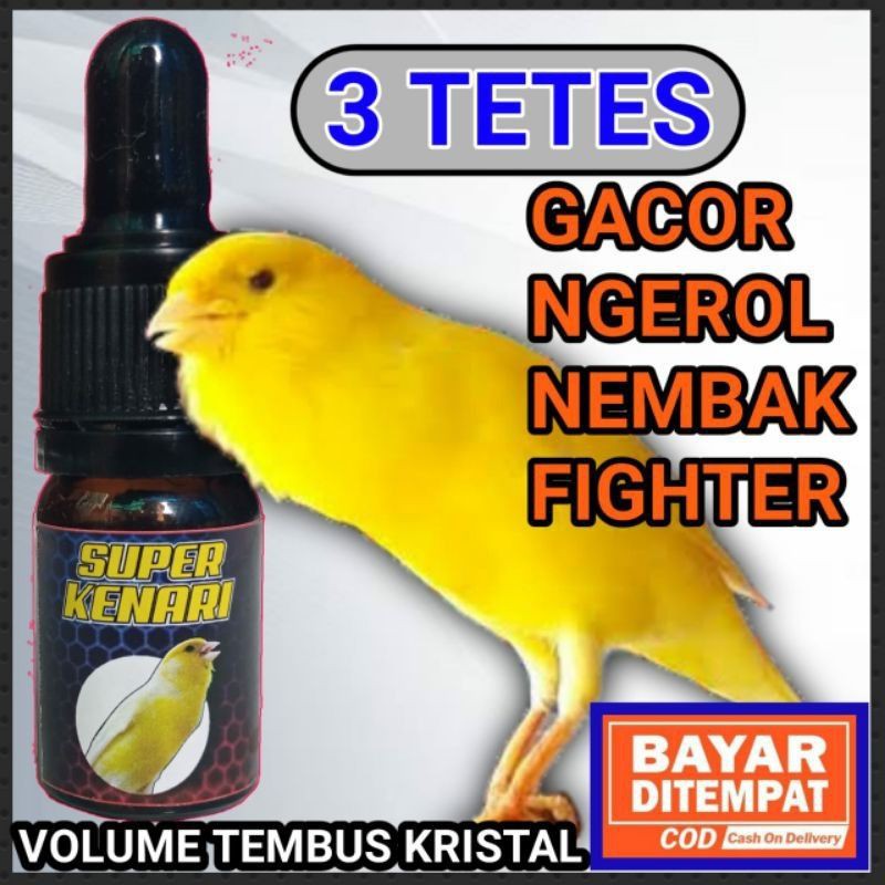 Jual SUPER KENARI VITAMIN BURUNG KENARI GACOR NGEROL NEMBAK FIGHTER ...