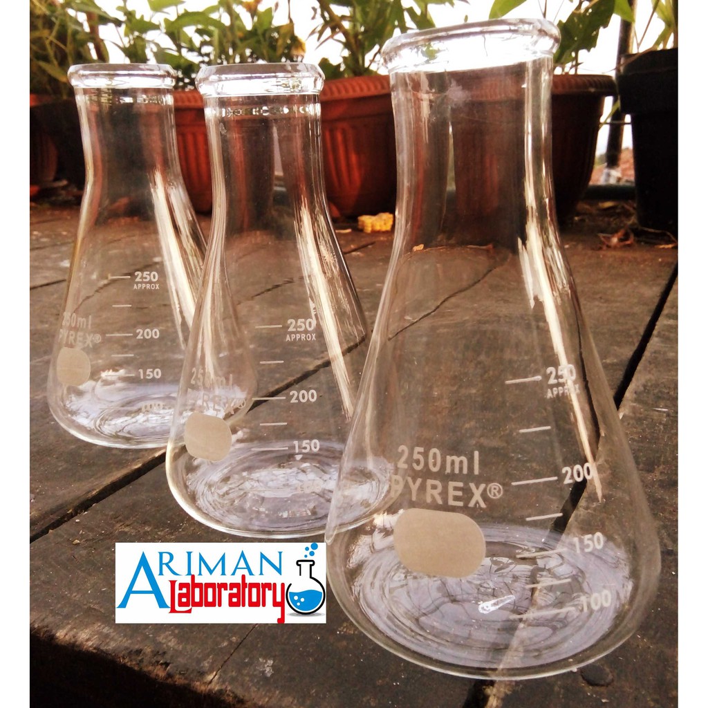 Jual Erlenmeyer 250 ml PYREX | Shopee Indonesia