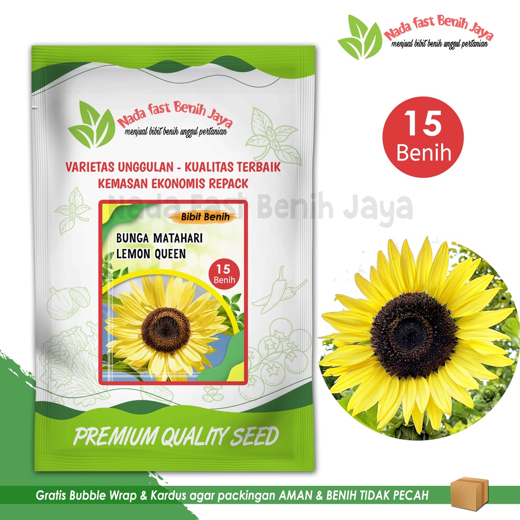 Jual Nada fast benih jaya - Benih bunga matahari lemon queen / bibit ...