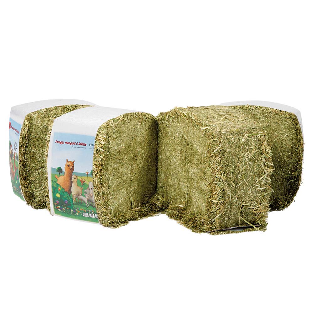 Jual Rumput Pakan Ternak Kelinci Marmut Tortoise Alfalfa / Timothy Hay ...