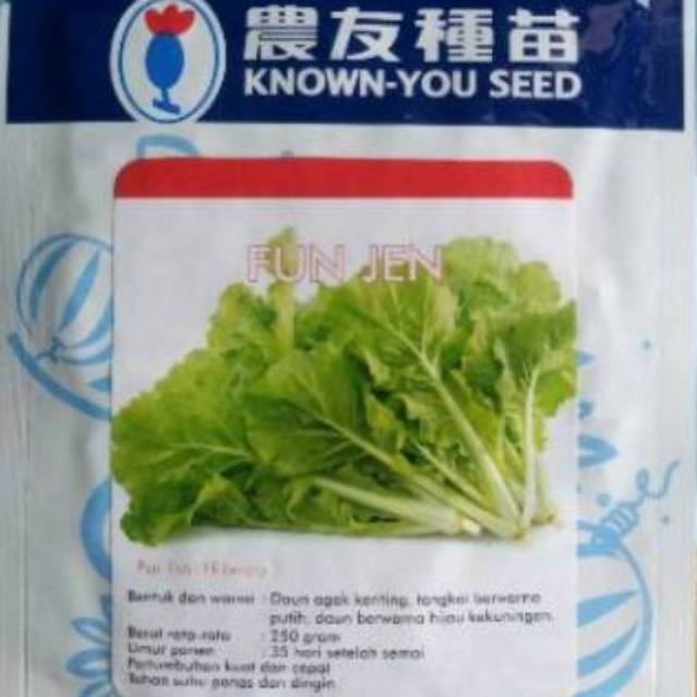 Jual (KEMASAN PABRIK) Sawi Keriting/Samhong Hibrida FUN JEN 10gr ...