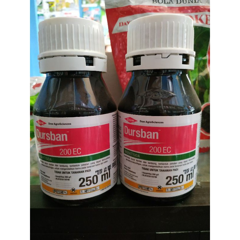 Jual Insektisida Dusban 250ml | Shopee Indonesia
