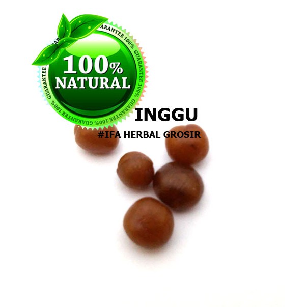Jual Jamu Herbal Tradisional Getah Inggu U/ Kepala Pusing,Migraine ...