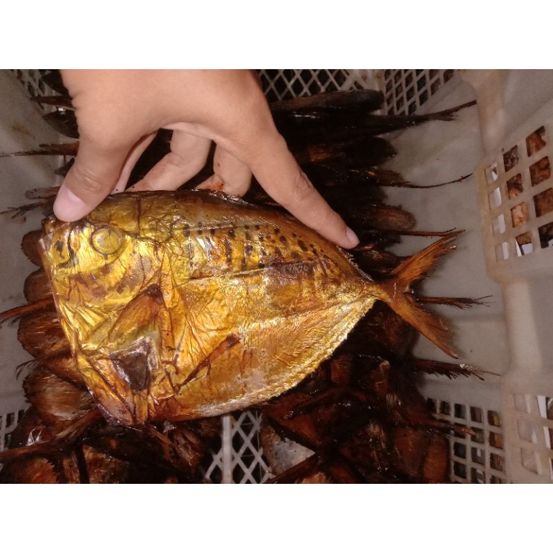 Jual Ikan Bagong / Semar Asap Satuan | Shopee Indonesia