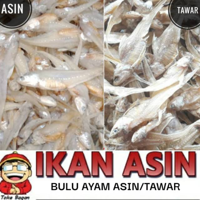 Jual Ikan Asin BULU AYAM 1 kg cap TOKE BAGAN SIAPI API | Shopee Indonesia