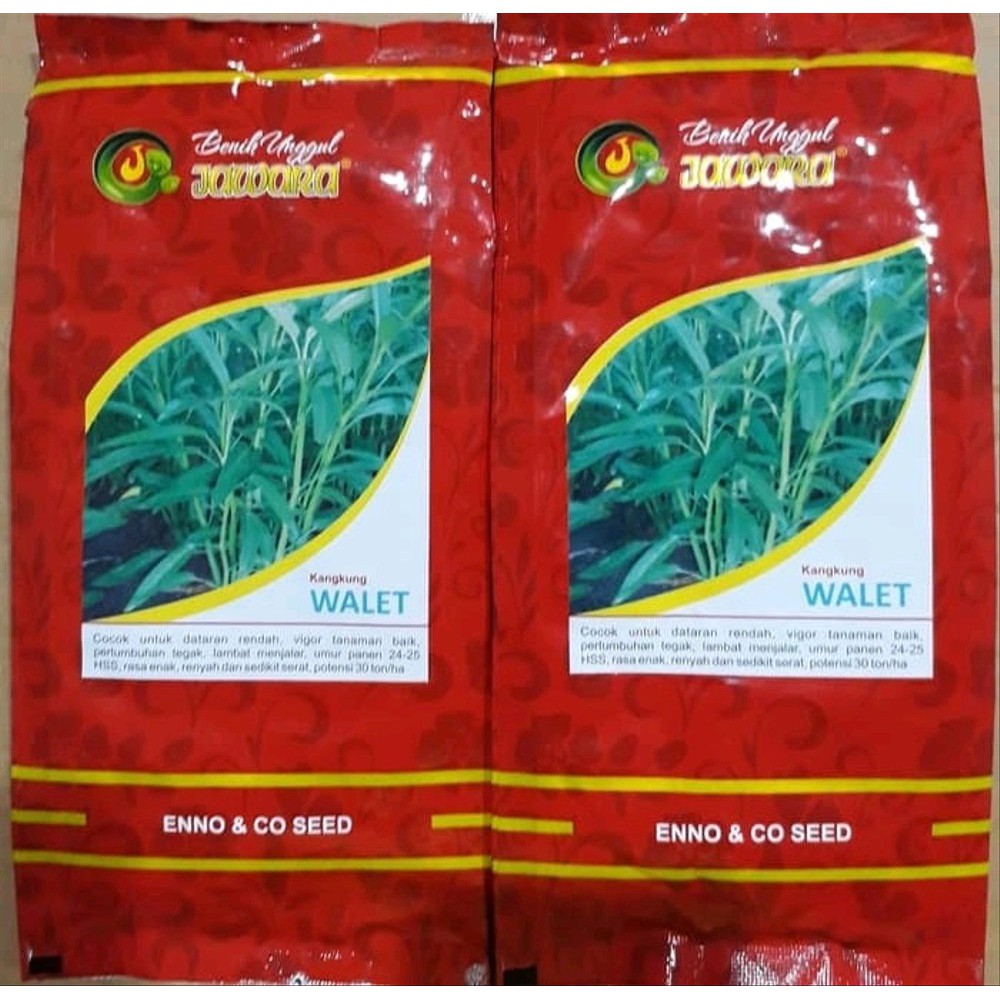 Jual Langsung Order Benih Kangkung WALET 1KG - Bibit Kangkung ...