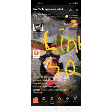 Jual check Out live 1 kg | Shopee Indonesia