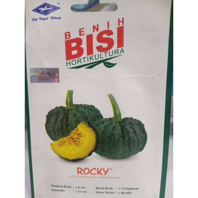 Jual BENIH BIBIT TANAMAN SAYURAN WALUH ROCKY / LABU ROCKY | Shopee ...