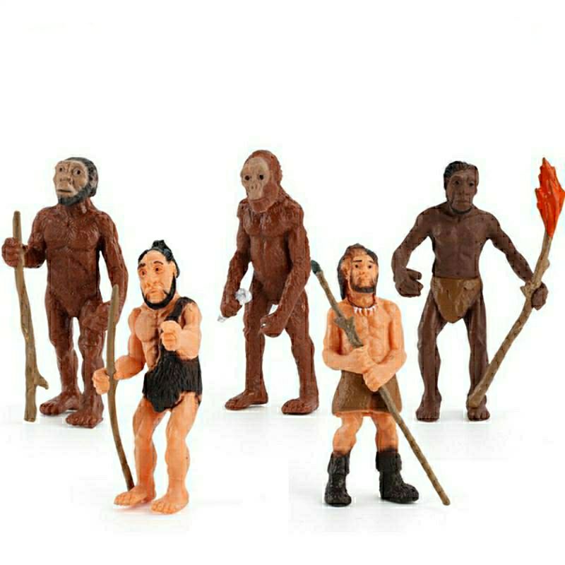 Jual Miniatur Evolution of Men / Men's Evolution / Human Evolution ...