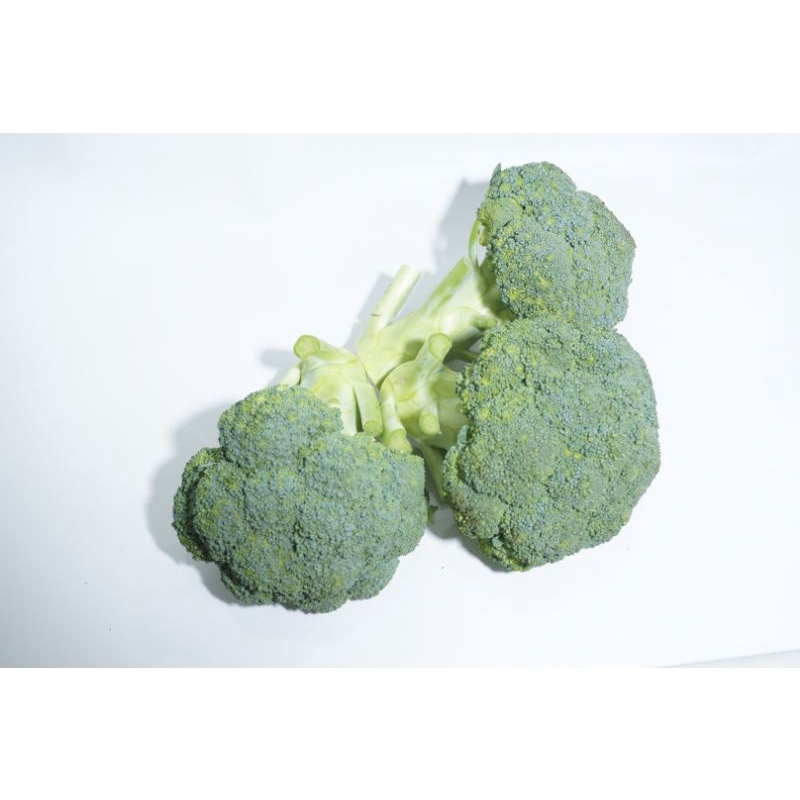 Jual brokoly 250gr/sayuran segar bandung/fresh | Shopee Indonesia