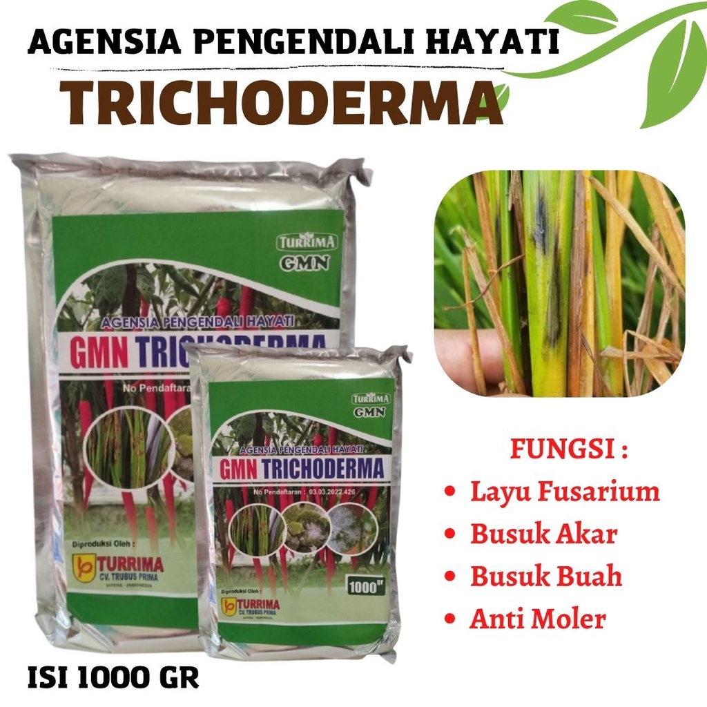 Jual Pupuk Trichoderma Padat Cegah Akar Gada Dan Busuk Tanaman Siap ...