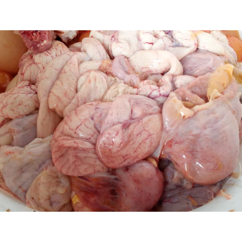 Jual uritan atau kantong telor isi 1kg /uritan ayam merah/kantong telor ...