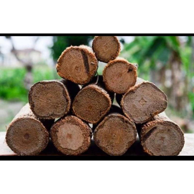 Jual kayu bajaka pedalaman kalimantan 500gr | Shopee Indonesia
