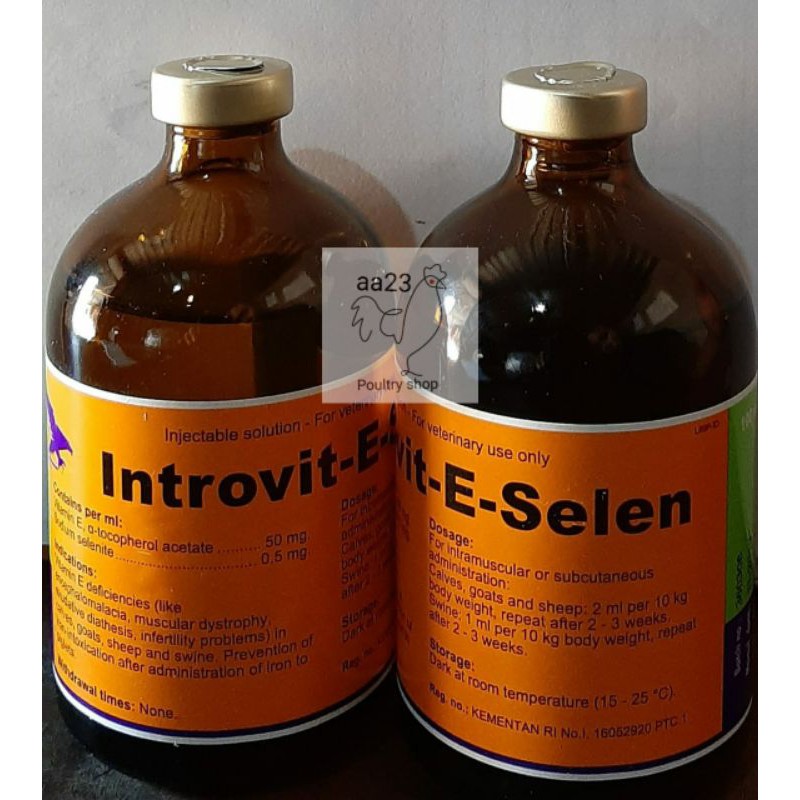 Jual Introvit e selen vitamin e dan selenium ayam sapi domba | Shopee ...