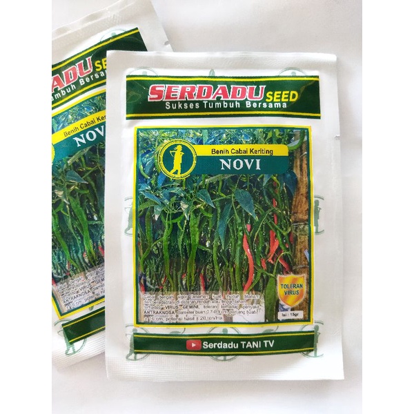Jual Benih cabe keriting NOVI 15 gram, tahan virus kuning gemini/bule ...
