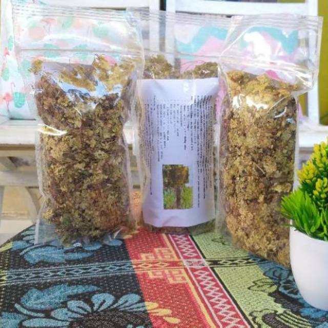Jual RUMPUT KEBAR ORIGINAL (Terbukti palsu uang kembali 10* lipat ...