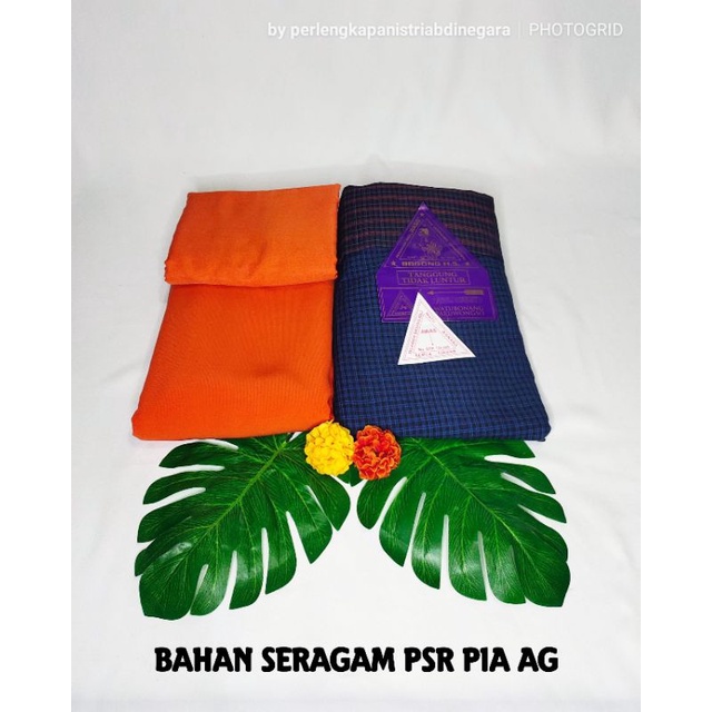 Jual KAIN BAHAN PSR PIA AG SESUAI PUSAT | Shopee Indonesia