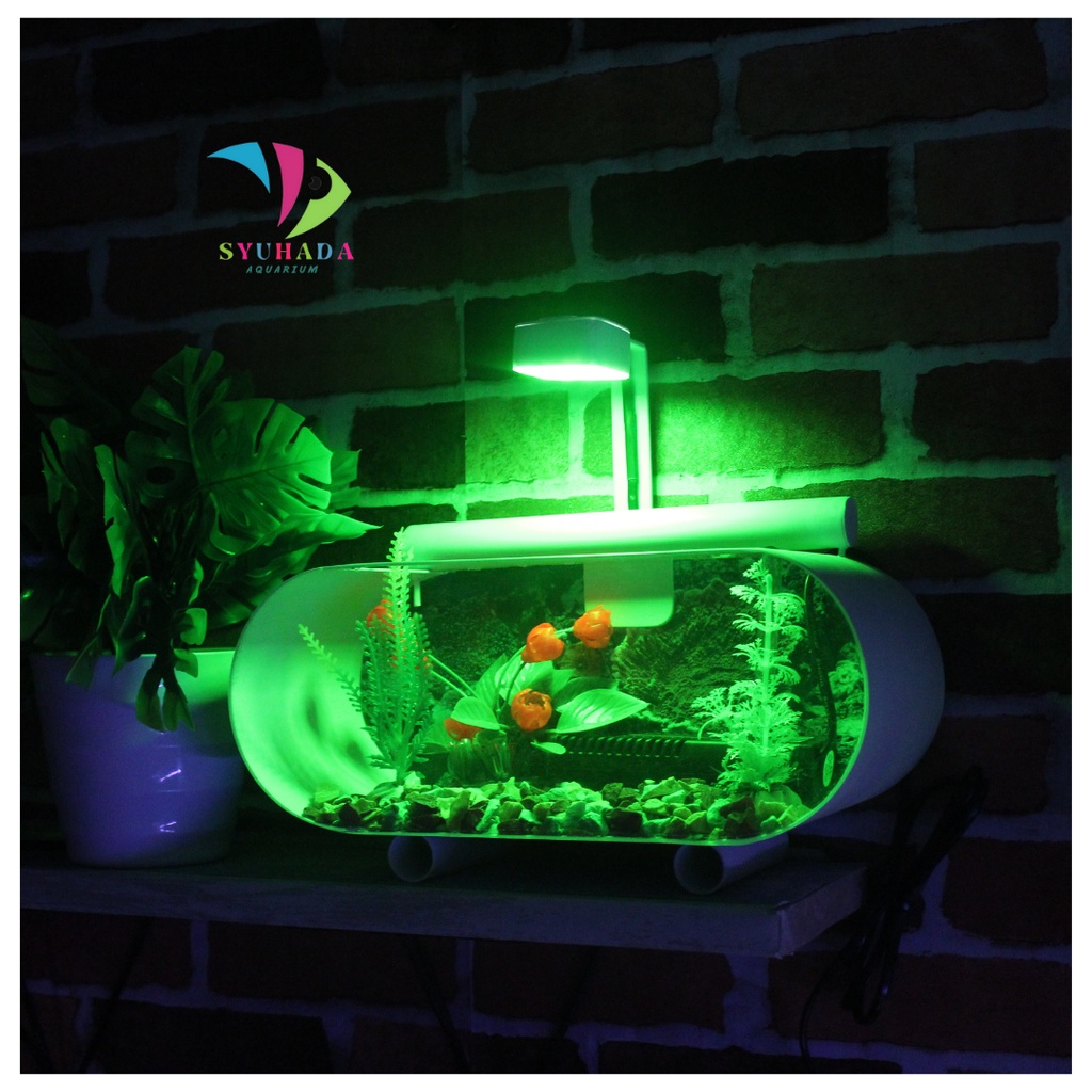 Jual [PROMO] TERMURAH ! Aquarium Mini Full set Dengan Pompa Dan Filter ...